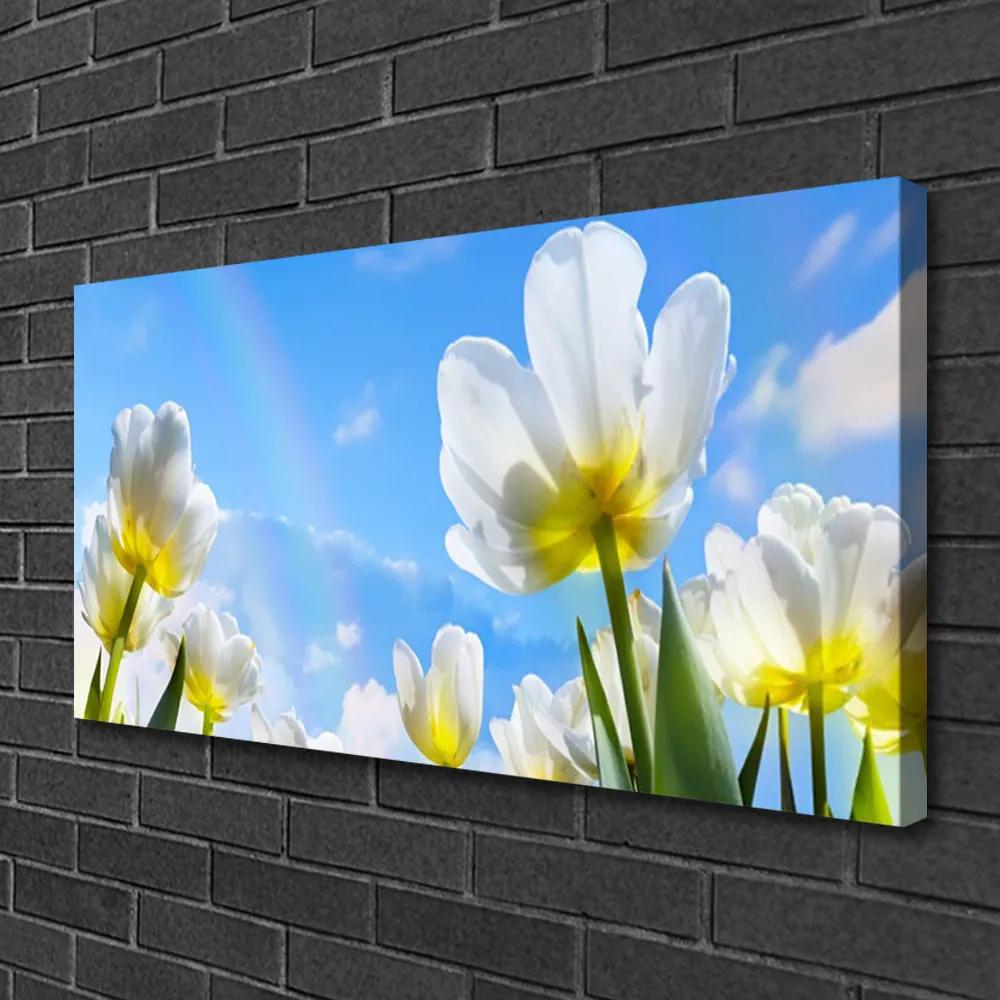 Obraz na plátně Rostliny Květiny Tulipány 120x60 cm