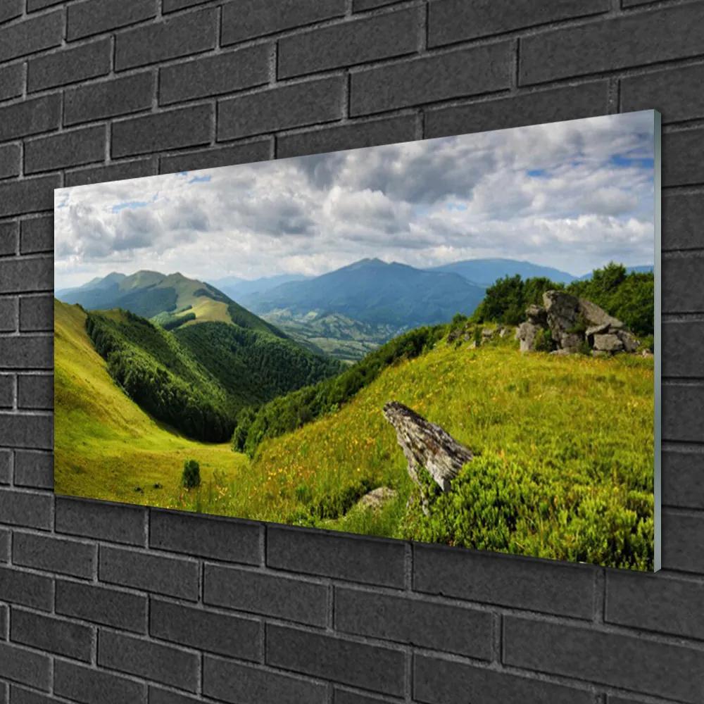 Obraz na skle Hora Louka Krajina 125x50 cm