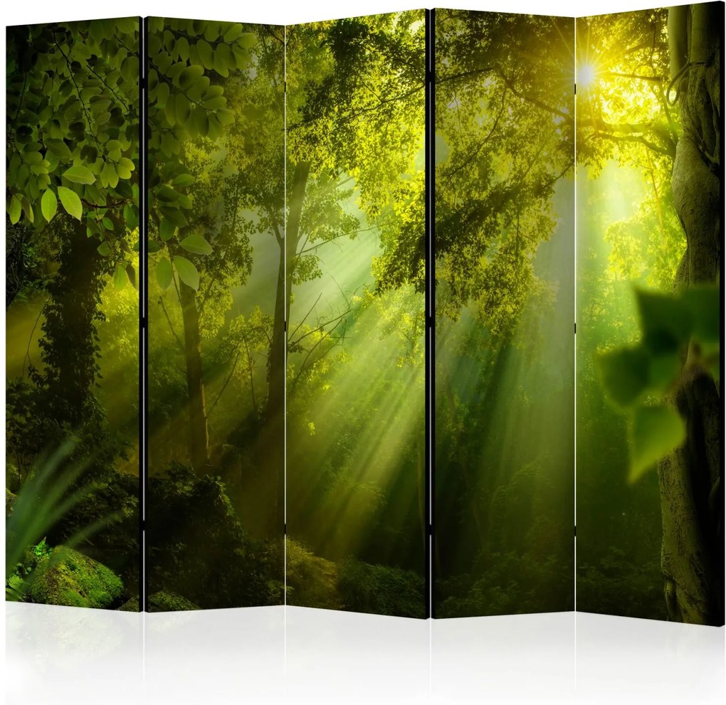 Paraván -  In a Secret Forest II II [Room Dividers] 225x172