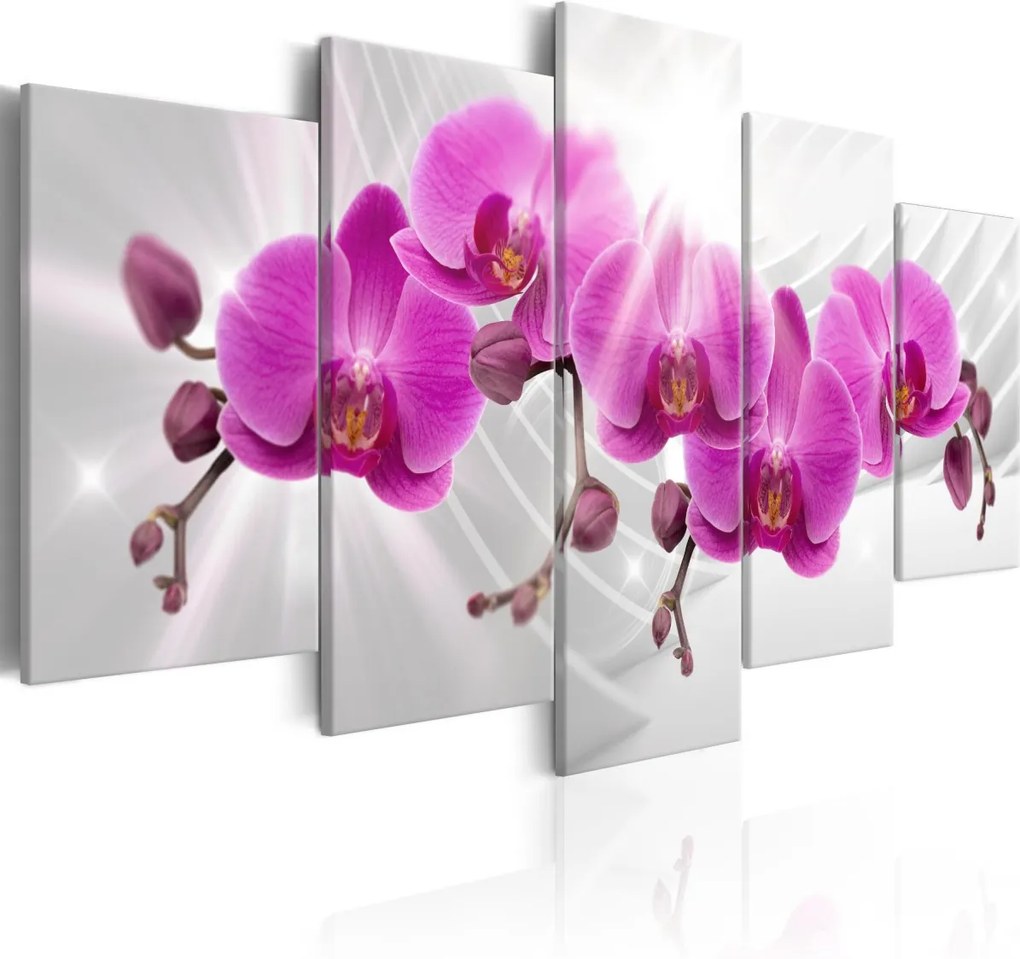 Murando DeLuxe Růžová orchidej Velikost: 200x100 cm