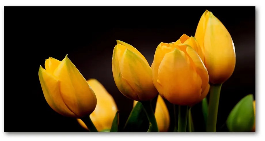 Wallmuralia Foto obraz akrylový do obýváku Žluté tulipány 120x60 cm
