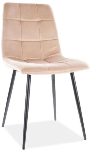 Casarredo - Komfort nábytek Jídelní židle MAJA VELVET béžová/černý kov
