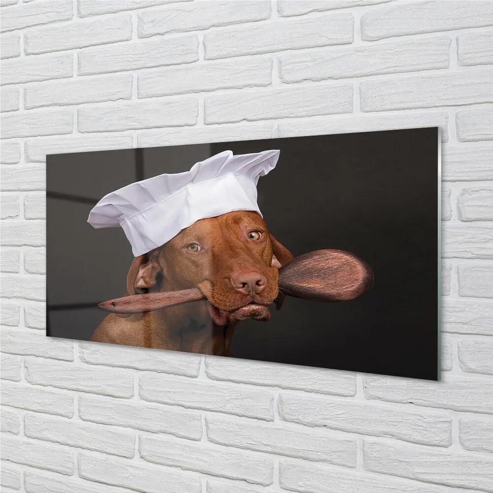 Obraz na skle dog chef 100x50 cm