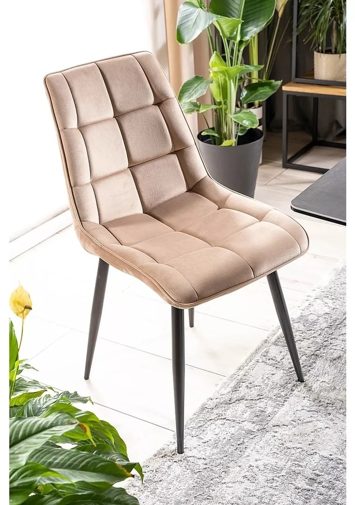 Čalouněná jídelní židle Chic Velvet - výběr z 8 provedení