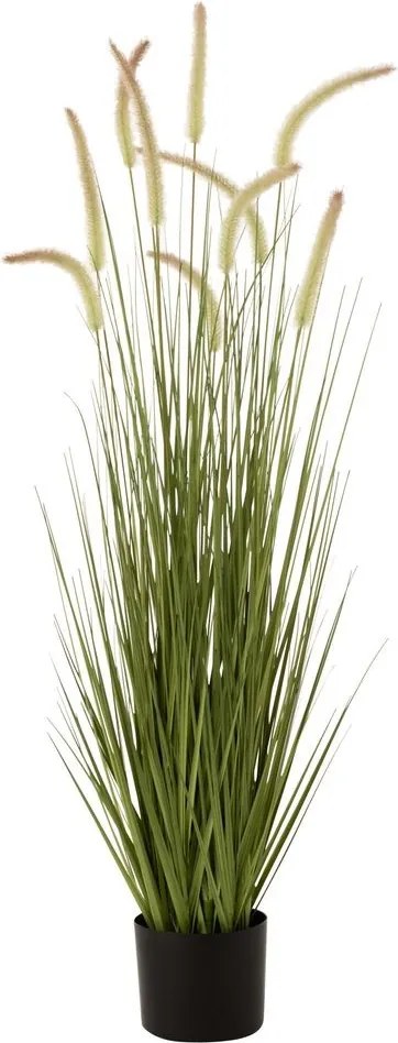 Dekorativní okrasná tráva v květináči - 13*120 cm