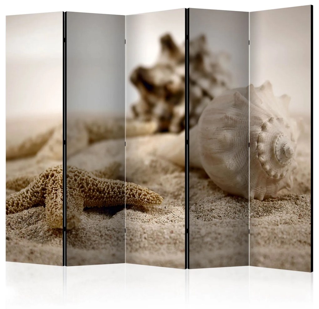 Paraván - Beach and shell [Room Dividers] 225x172