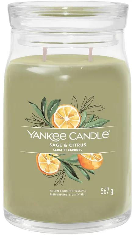 Yankee Candle – Signature svíčka Sage & Citrus (Šalvěj a citrus) Velikost: velká 567 g