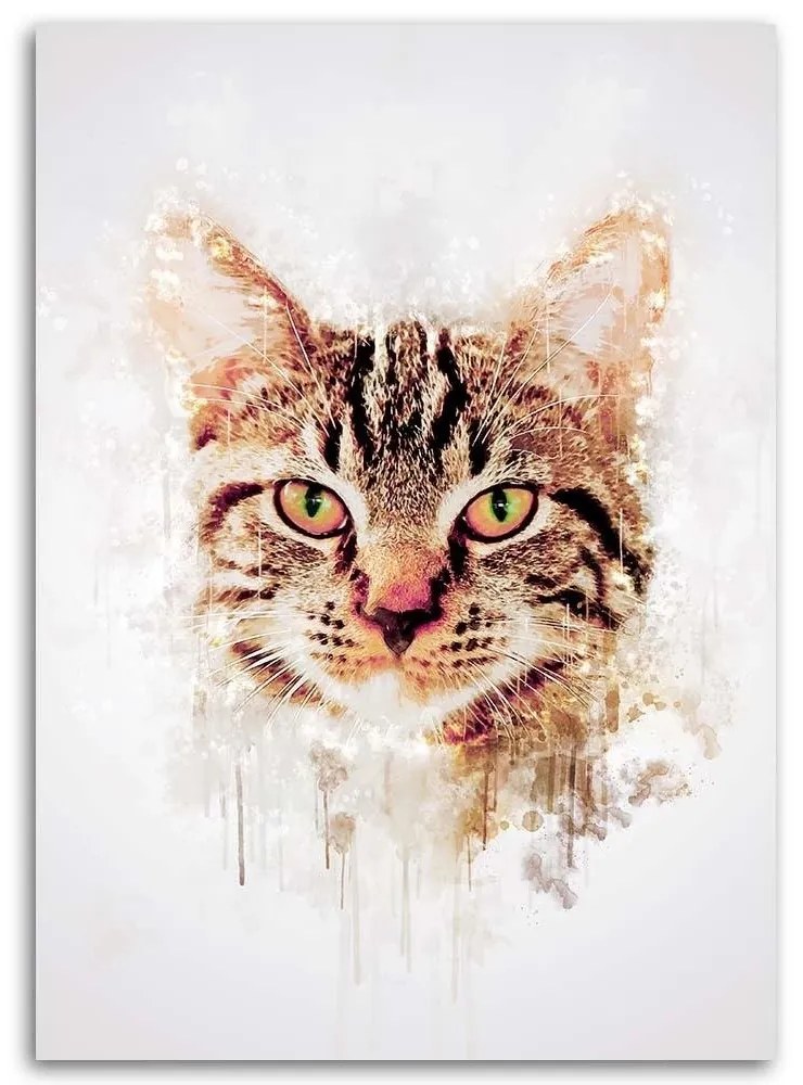 Gario Obraz na plátně Kočičí hlava - Cornel Vlad Rozměry: 40 x 60 cm