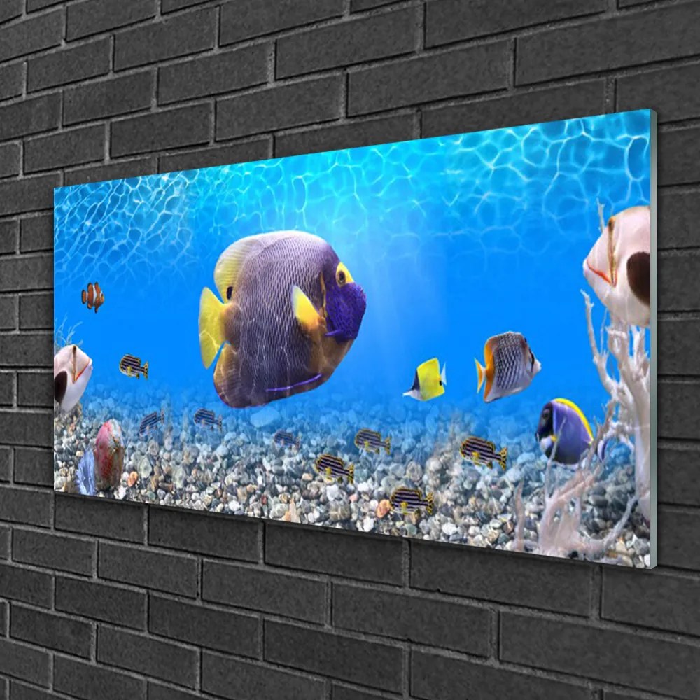 Obraz na skle Ryba Příroda 125x50 cm