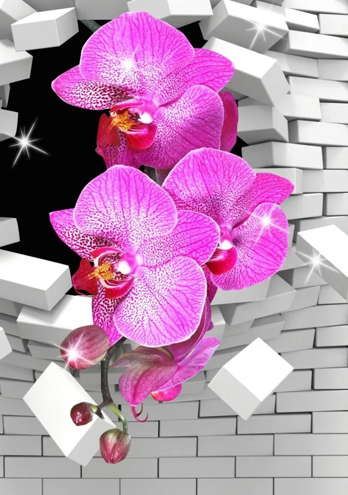 Malvis ® 3D obraz Orchidej Velikost: 60x60 cm