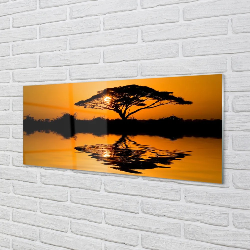 akrylový obraz Sunset tree 120x60 cm