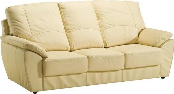 Casarredo - Komfort nábytek Rozkládací trojmístná pohovka DALIBOR kůže | potah: Kůže S-41