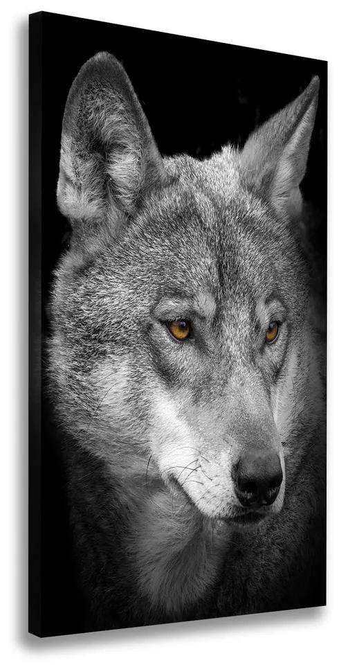 Wallmuralia Foto obraz na plátně Portrét vlka 60x120 cm