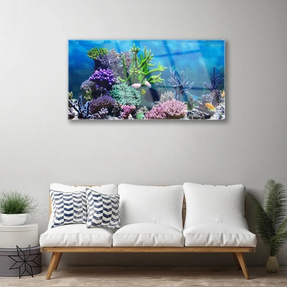 Obraz na skle Akvárium Rybičky Pod Vodou 100x50 cm