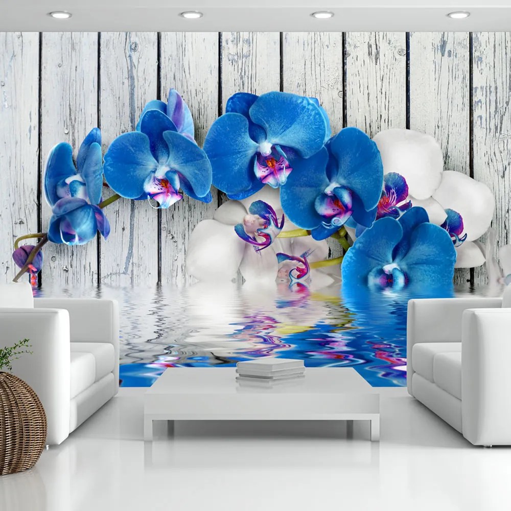 Fototapeta Bimago - Cobaltic orchid + lepidlo zdarma 350x245 cm