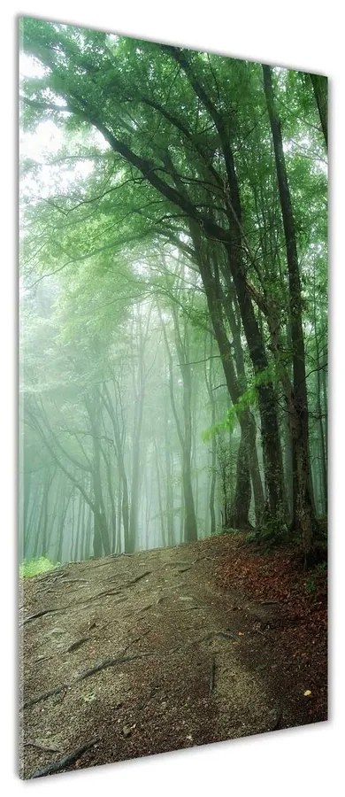 Wallmuralia Foto obraz sklo tvrzené Mlha v lese 50x125 cm