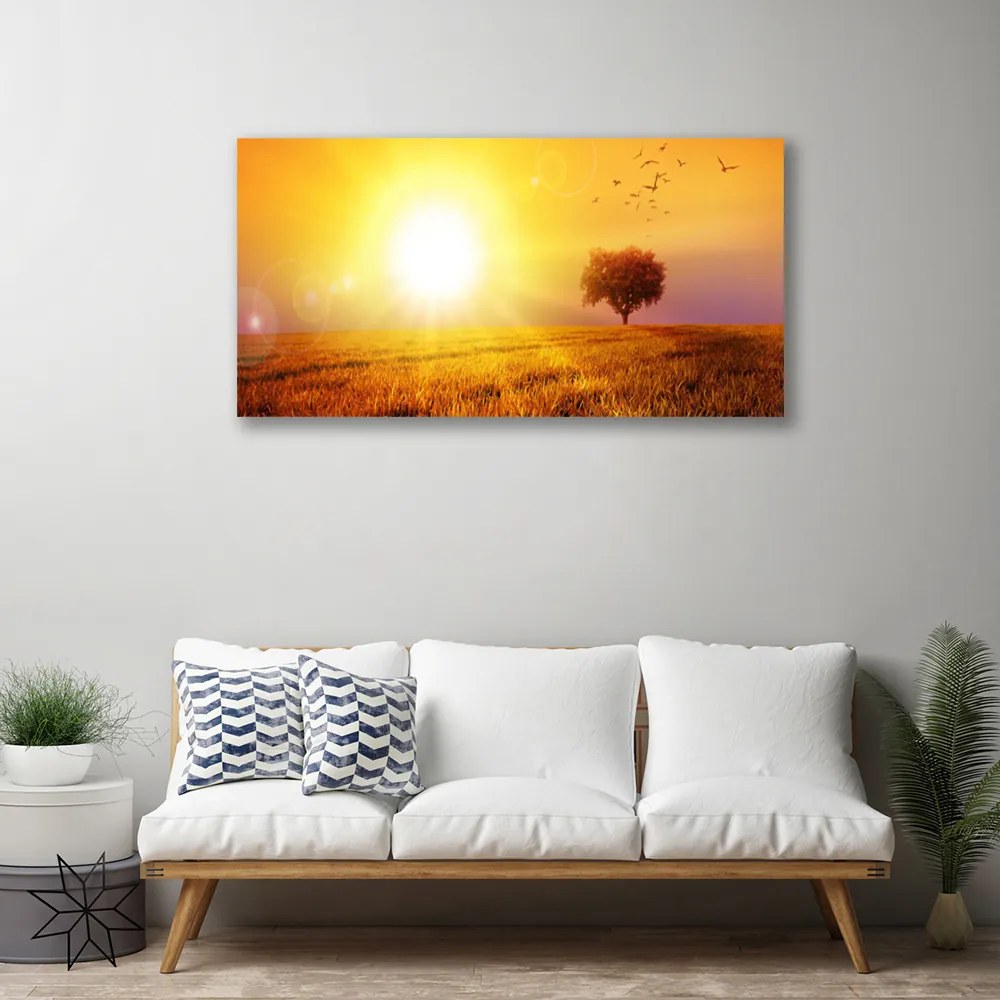 Obraz na plátně Západ Slunce Louka Plátky 100x50 cm