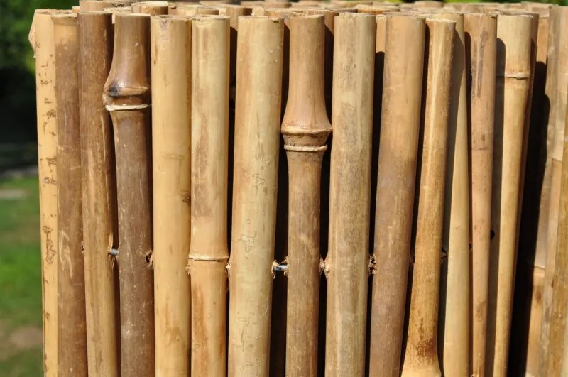 Axin Trading Bambusový plot 100x300 cm