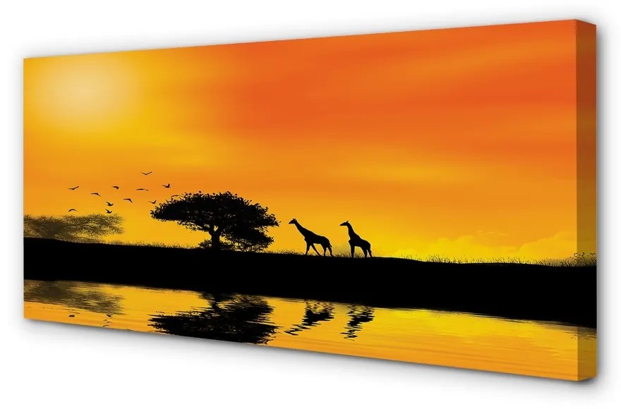 Obrazy na plátně Žirafy tree west lake 100x50 cm