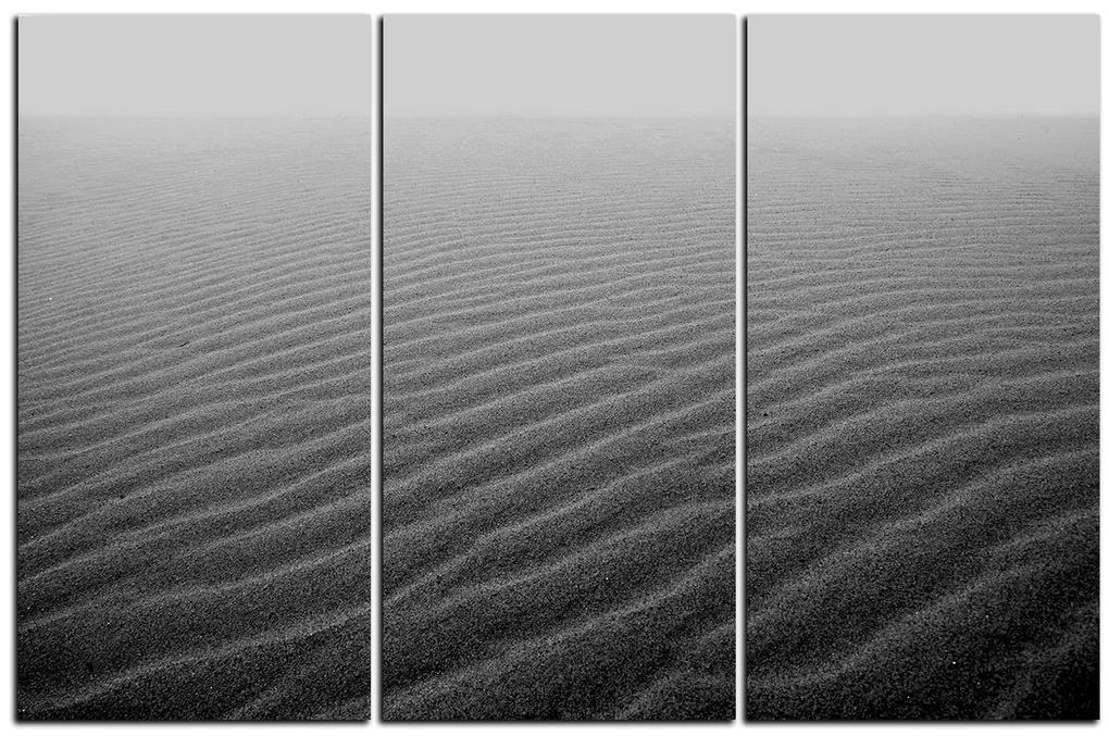 Obraz na plátně - Písek v poušti 1127QB (90x60 cm  )