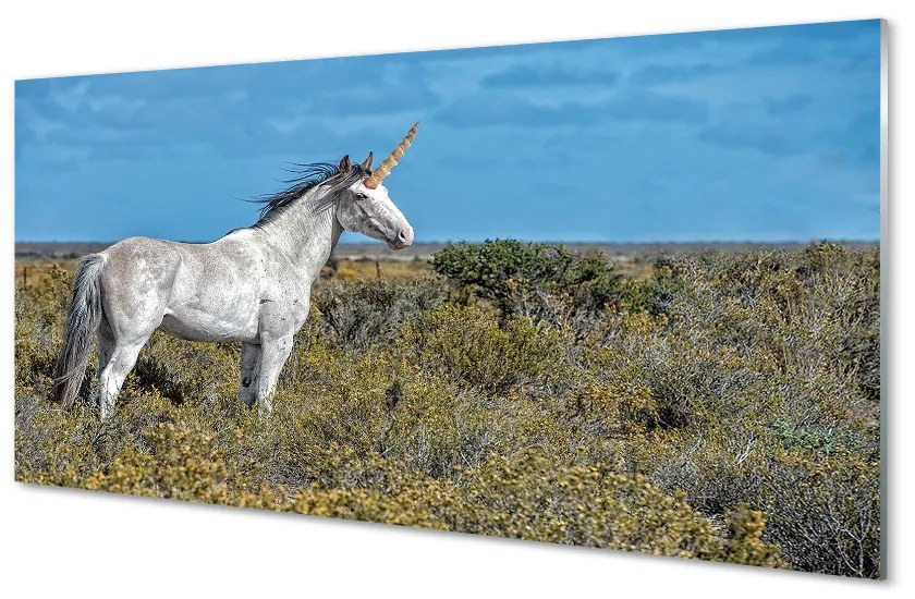 akrylový obraz Unicorn Golf 120x60 cm