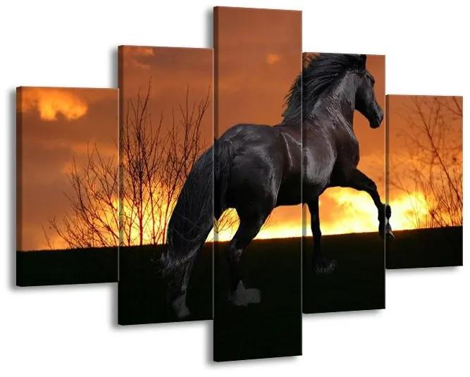 Obraz koně (150x105 cm), 40 dalších rozměrů