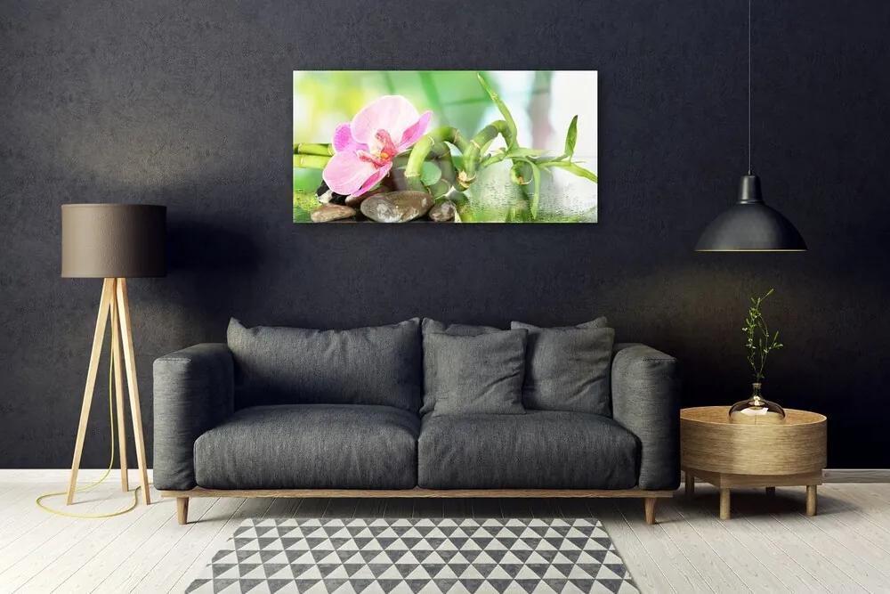 akrylový obraz Bambus Stonek Rostlina Příroda 100x50 cm