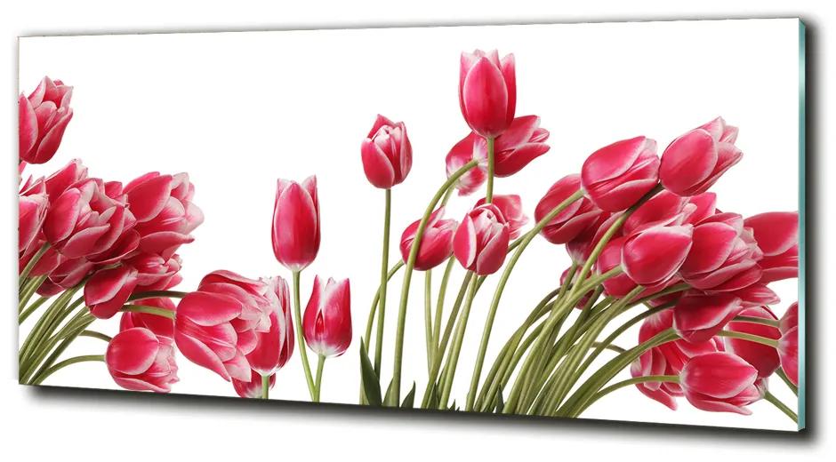 Wallmuralia Fotoobraz na skle Červené tulipány 125x50 cm