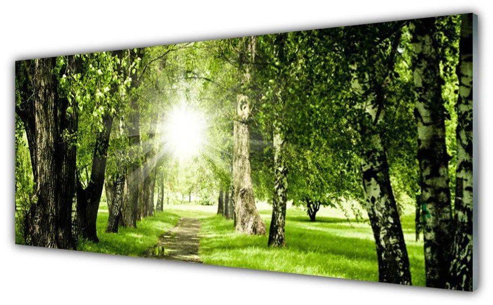 akrylový obraz Les Slunce Stezka Příroda 125x50 cm
