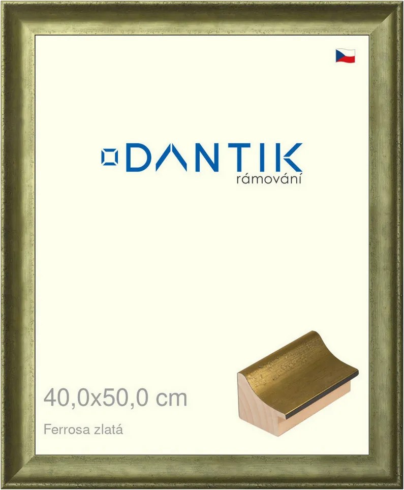 DANTIK rámeček 40x50 | Ferrosa zlatá (Plexi Čiré)