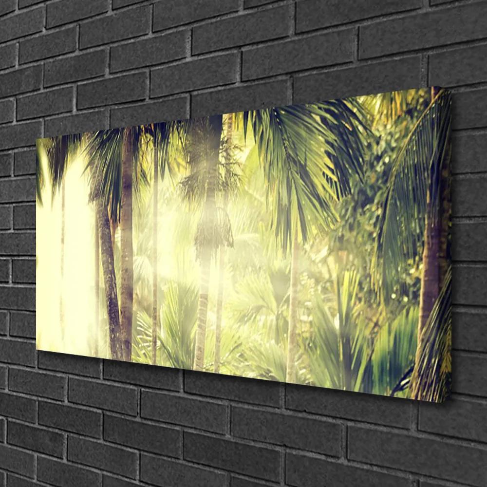 Obraz na plátně Les Palmy Stromy Příroda 140x70 cm