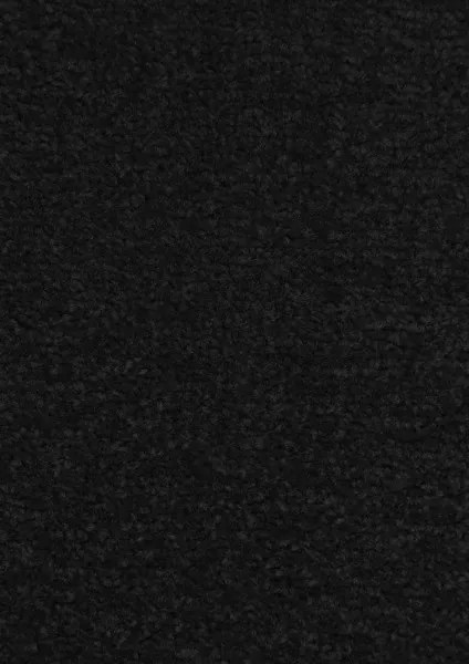 Hanse Home Collection koberce Kusový koberec Nasty 102055 Schwarz Rozměr: 200x300