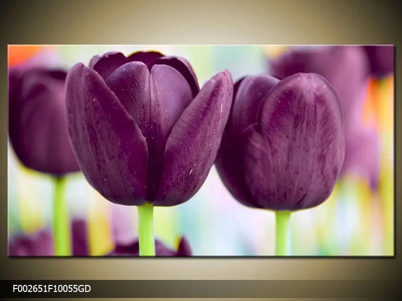 Obraz fialových tulipánů  (), 40 dalších rozměrů
