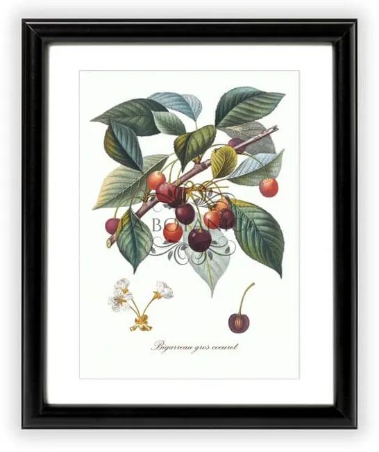 Úplná sada Šťavnaté ovoce - 6 obrázků na zeď