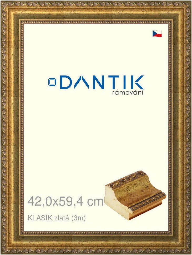 DANTIK rámeček 42x59,4 | KLASIK zlatá (Plexi Čiré)