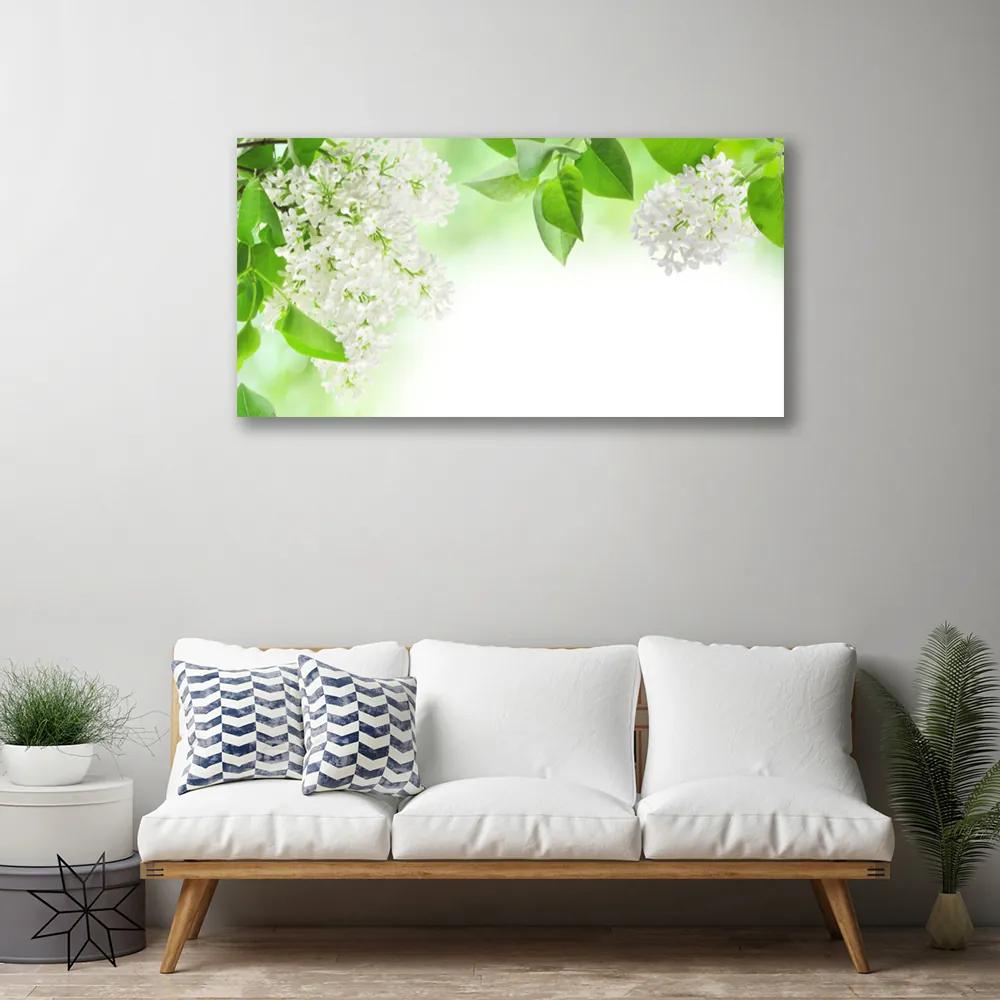 Obraz na plátně Plátky Rostlina Příroda 100x50 cm