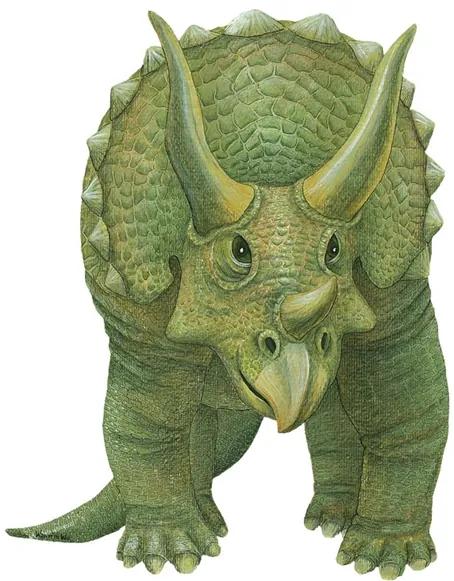 Samolepky dinosauři - Samolepící dekorace Triceratops