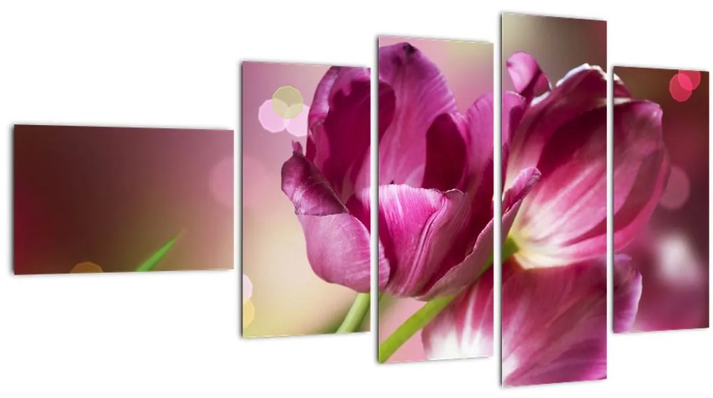 Obraz růžových tulipánů (110x60 cm), 40 dalších rozměrů