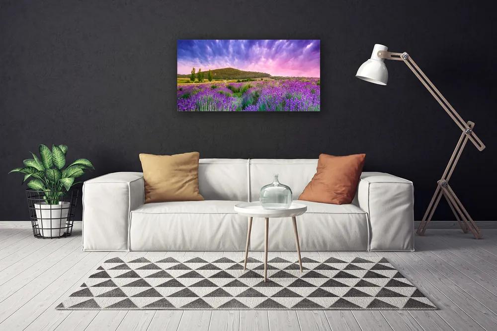 Obraz na plátně Louka Květiny Hory Příroda 120x60 cm