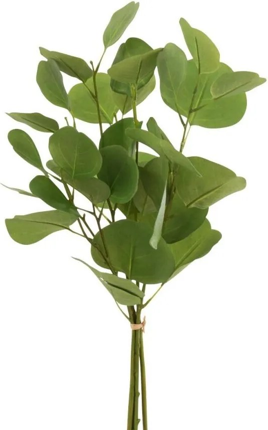 Zelený Eucalyptus - Svazek umělé dekorativní rostliny - 50 cm