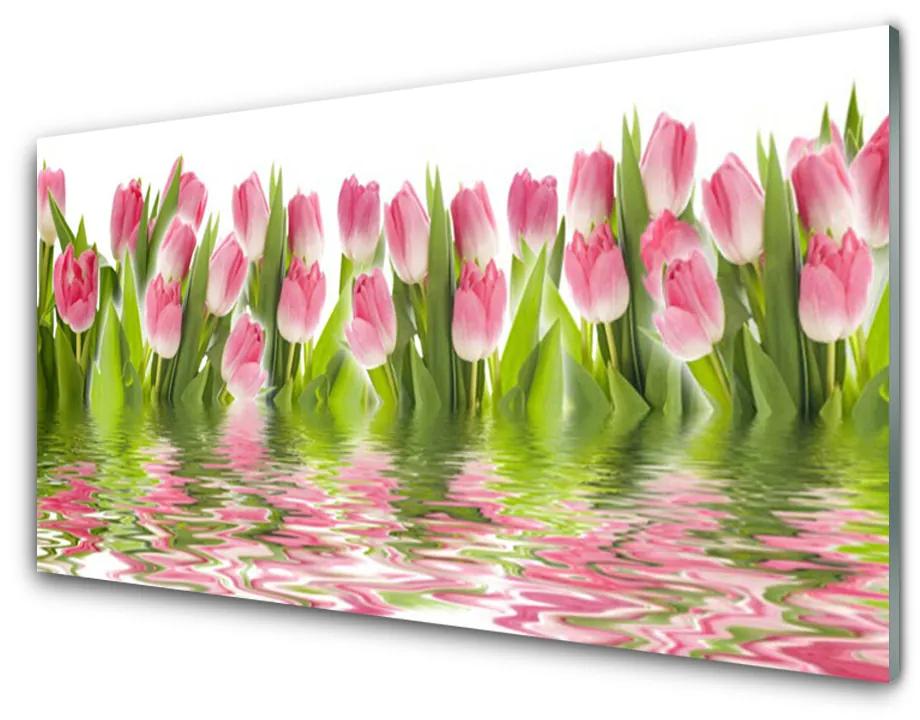 akrylový obraz Tulipány Rostlina Příroda 140x70 cm