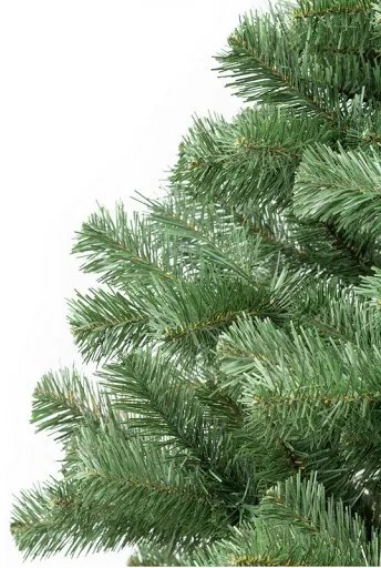Vánoční stromek Jedle 250 cm