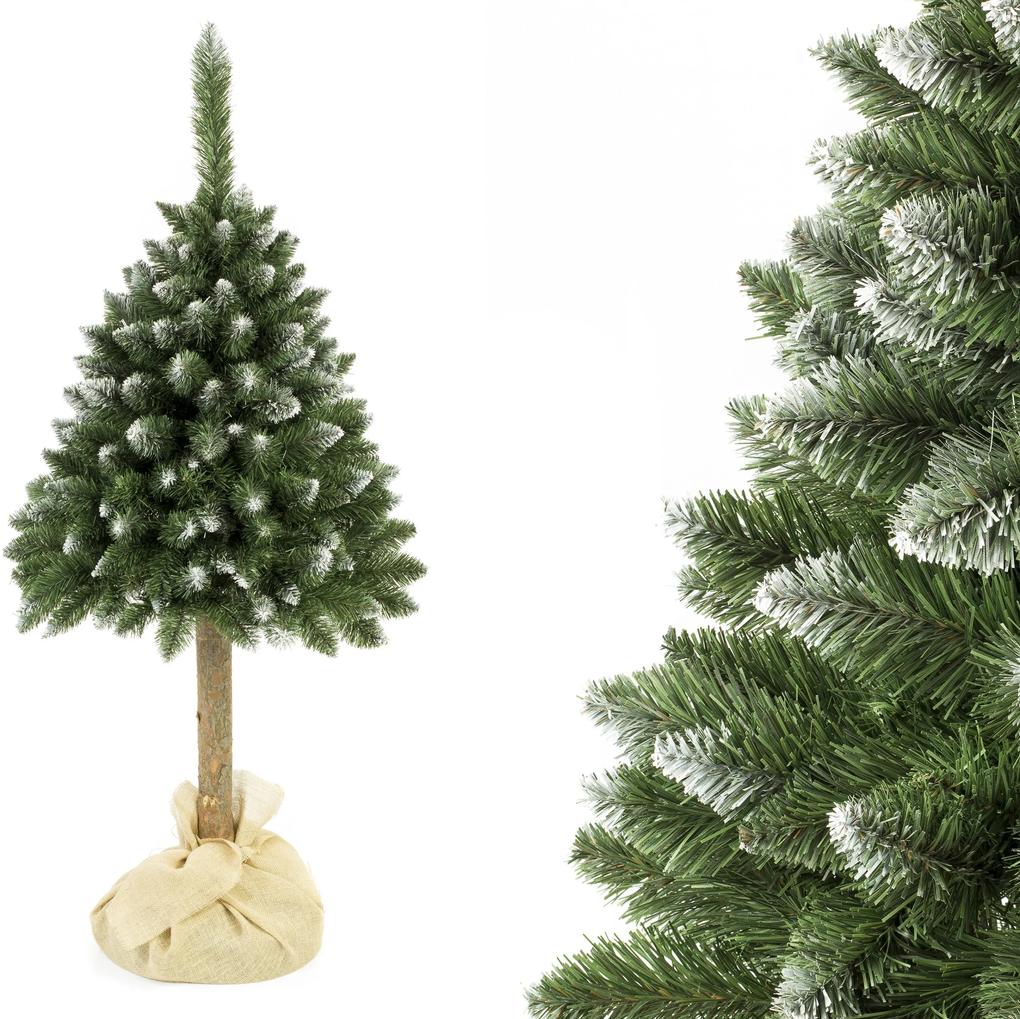 Vánoční stromek Borovice diamantová na pníku 220 cm