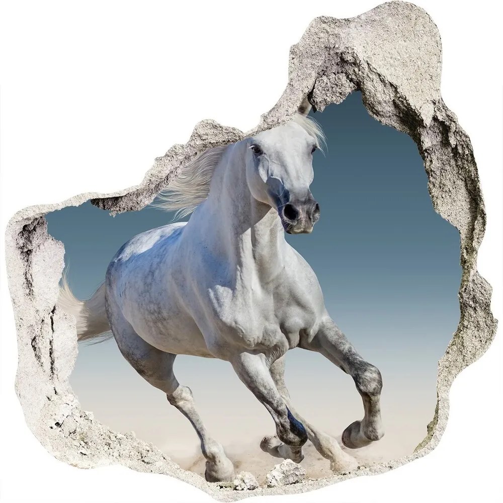 Wallmuralia Fototapeta díra na zeď Bílý kůň ve cvalu 75x75 cm