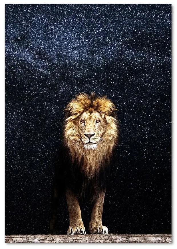 Wallmuralia Foto obraz akrylový Lev na pozadí hvězd 70x100 cm