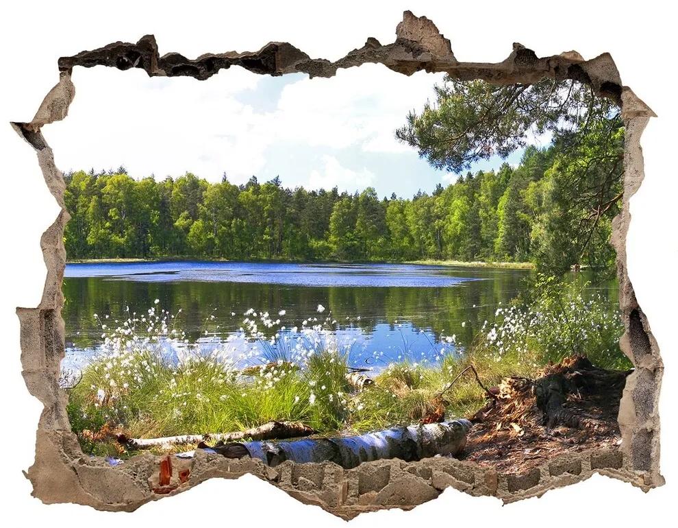 Wallmuralia Nálepka fototapeta 3D na zeď Lesní panorama 95x64 cm