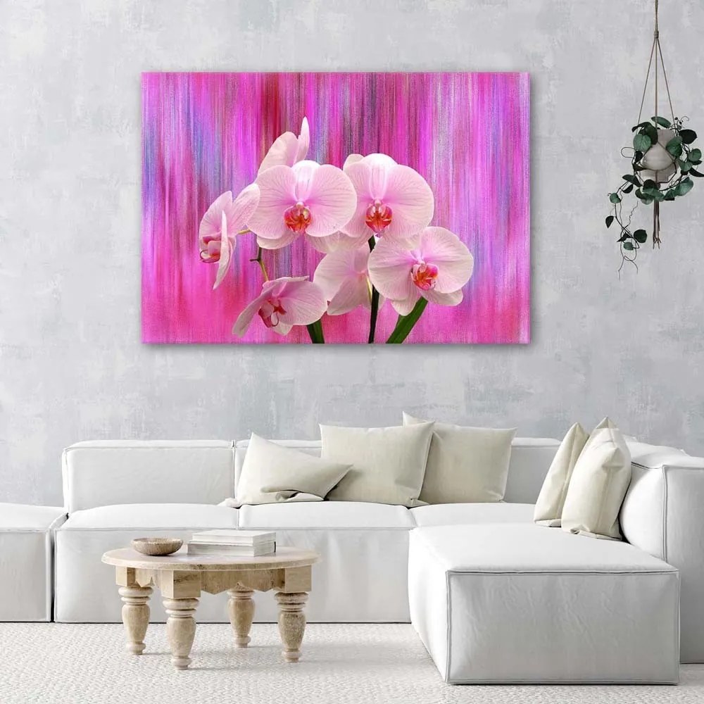 Obraz na plátně Orchidej růžová Přírodní rostliny - 60x40 cm