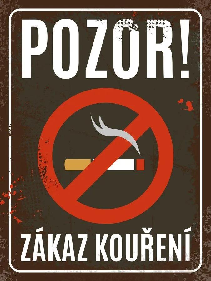 Postershop Plechová cedule - Zákaz kouření