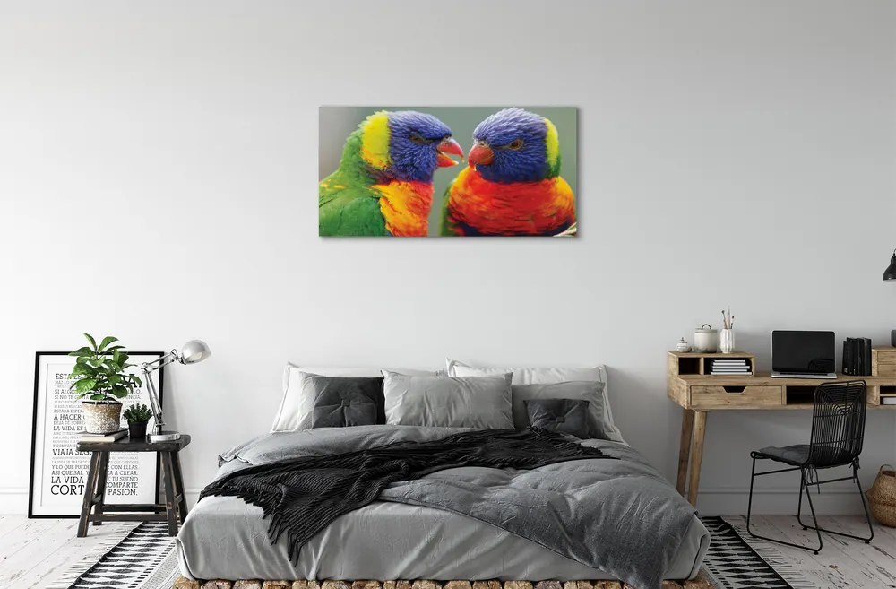 Obrazy na plátně barevný papoušek 120x60 cm