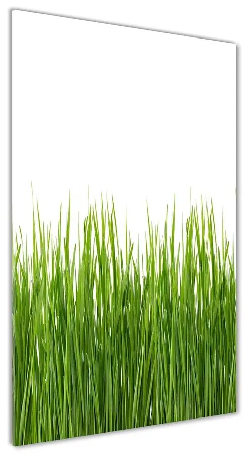 Wallmuralia Foto obraz akrylový do obýváku Zelená tráva 50x100 cm
